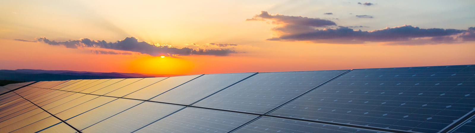 "Energiedelen wordt een van de trends van onze generatie" | Bolero